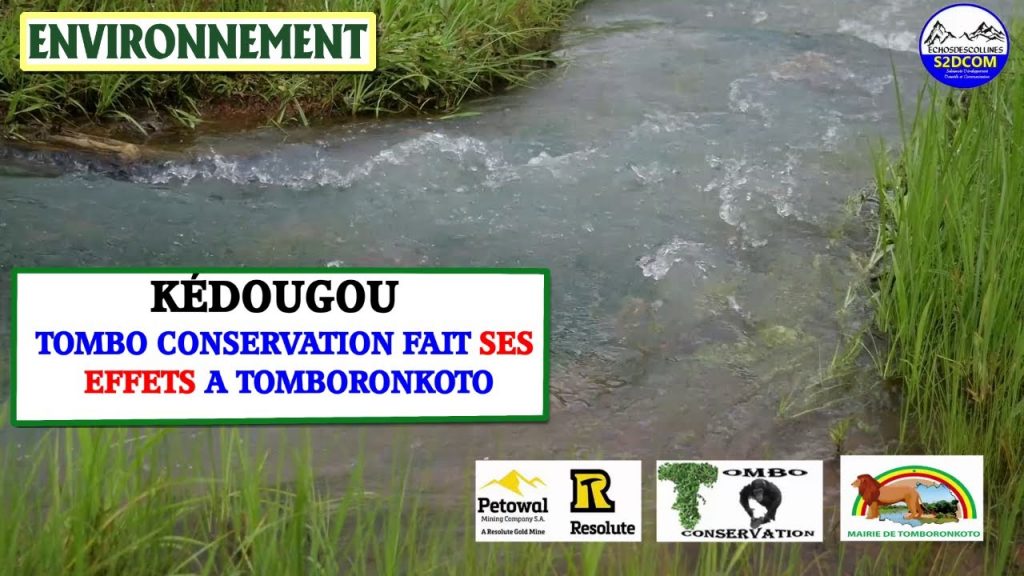 Kédougou : Tombo conservation fait ses effets à Tomboronkoto ...