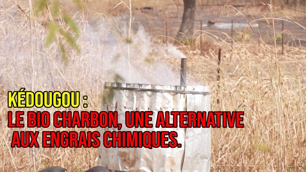 Kédougou : Le bio charbon, une alternative aux engrais chimiques ...