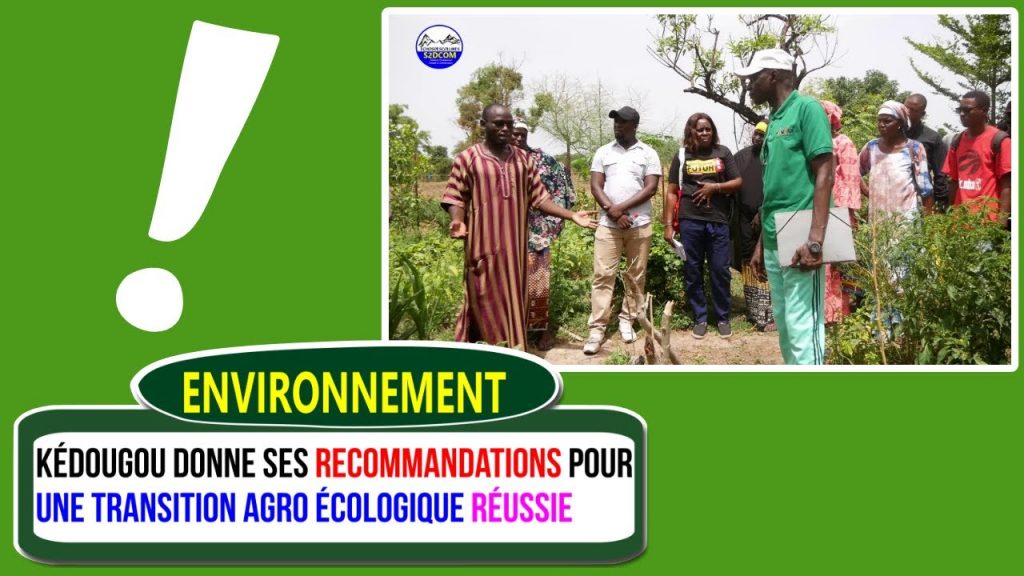 Kédougou donne ses recommandations pour une Transition agroécologique ...