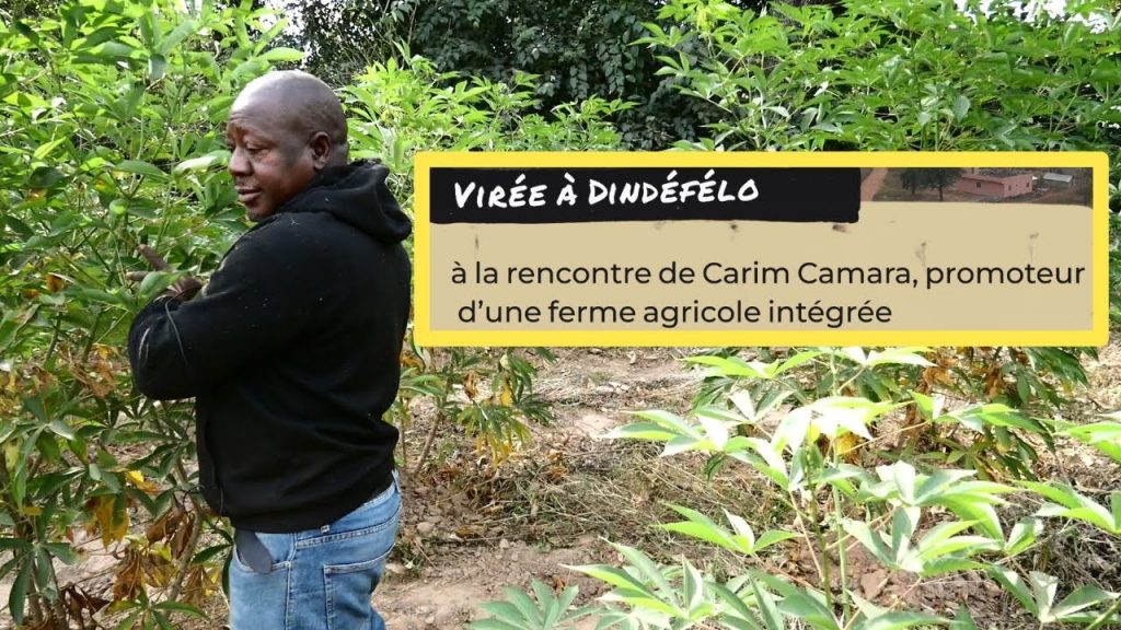Virée à Dindéfélo, à la rencontre de Carim Camara, promoteur d’une ...